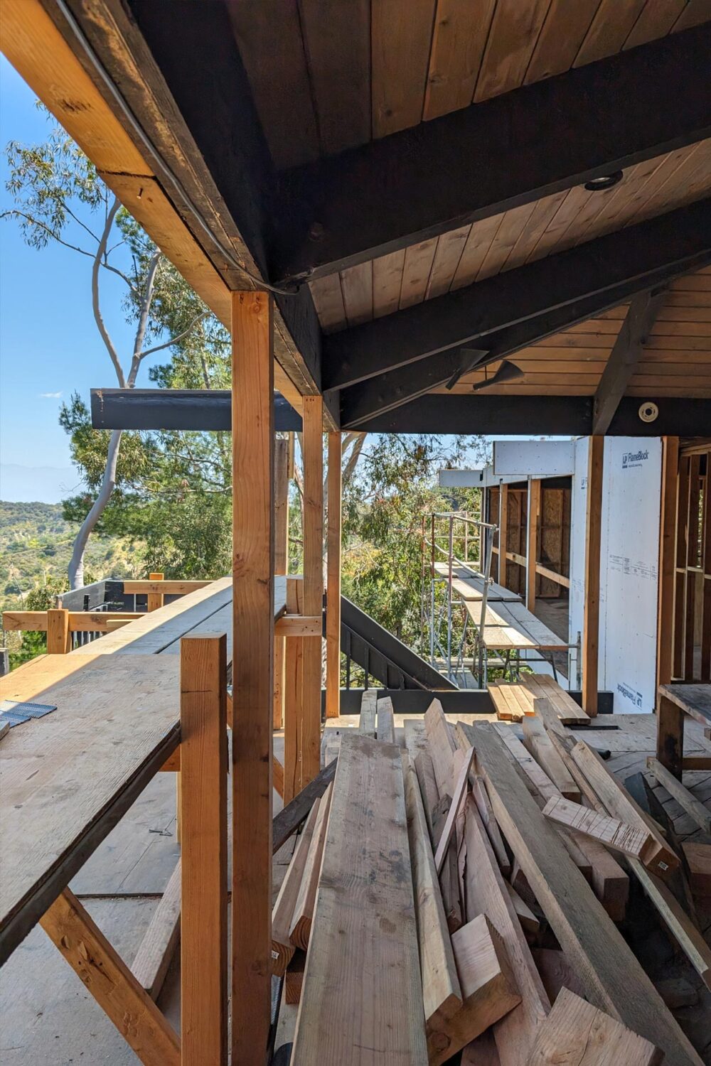 Art Seidenbaum House - Krueger Architects